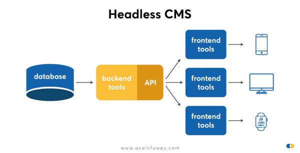 Is Headless CMS Really a Good Choice Over a Traditional CMS?